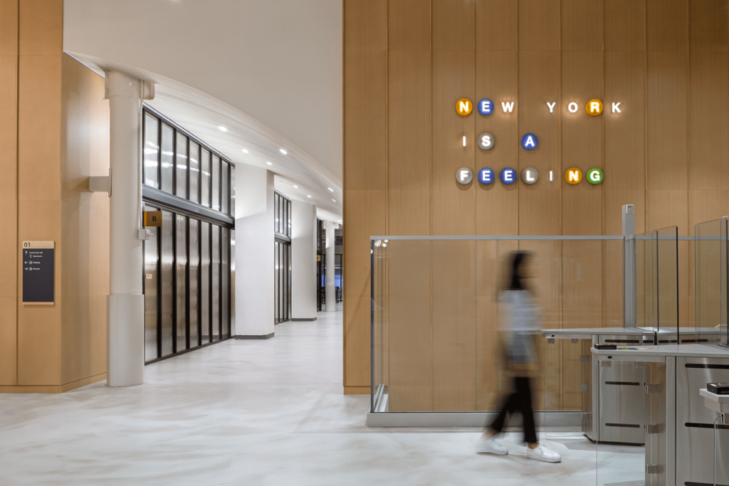 Amazon - Egg Office Website