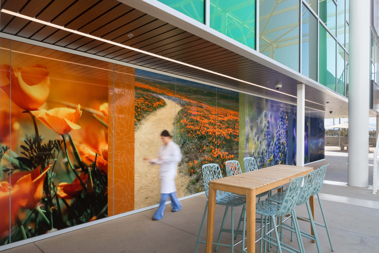 Kaiser Permanente - Egg Office Website